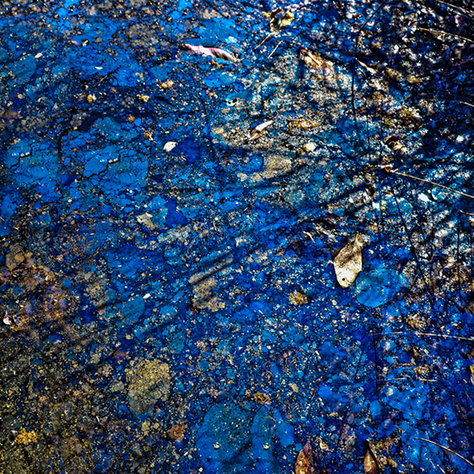 LOT 28 Tanisha Bhana Cosmic Dance II 2015 Art co za Online Auctions LOT 28 Tanisha Bhana Cosmic Dance II 2015 Art co za Online Auctions